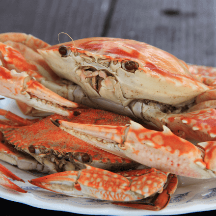 All About Halibut and Crab | Oak Bay Seafood